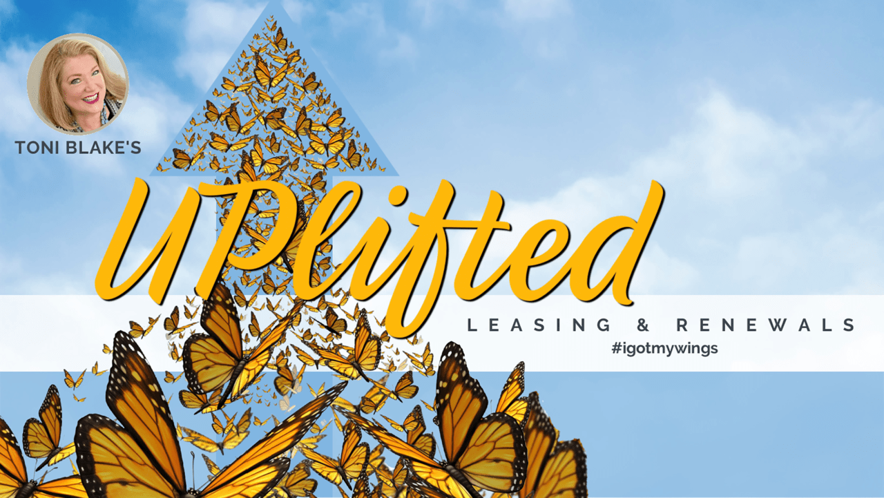 New Content | totallytoni.com